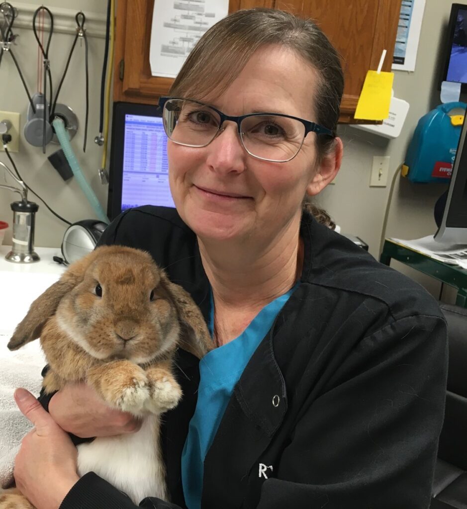 Meet the Team - Downtown Veterinary Hospital